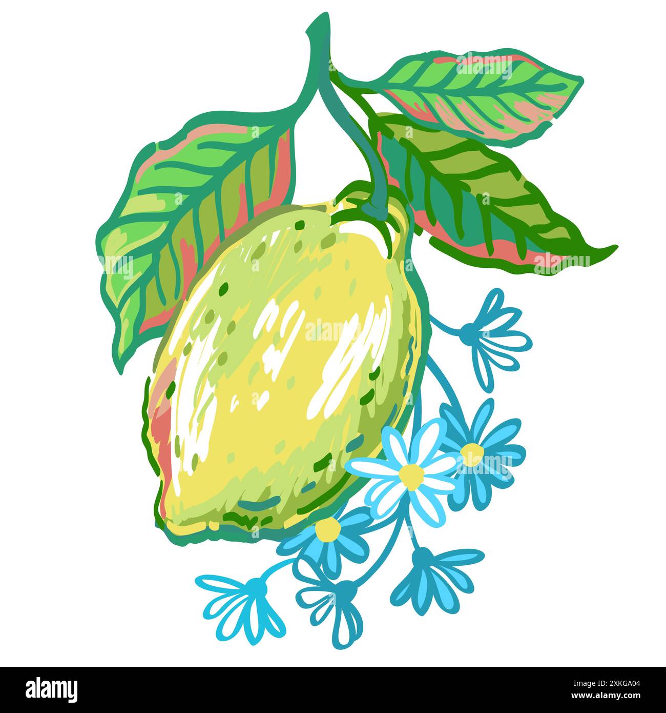 Vector hand drawn illustration of lemon tree branches with fruits ...