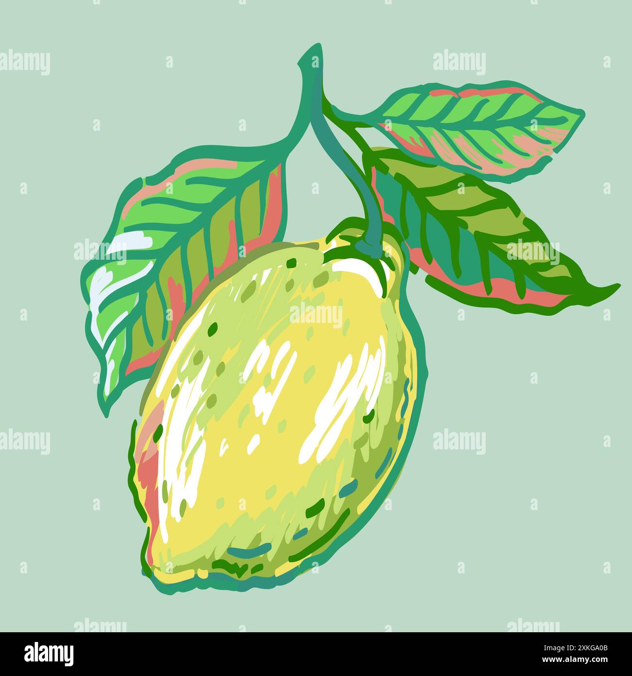 Vector hand drawn illustration of lemon tree branches with fruits ...