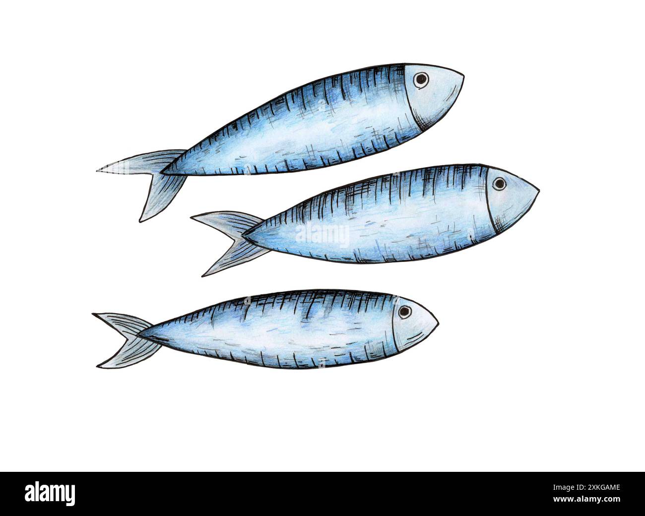 Pescado dibujo hi-res stock photography and images - Alamy
