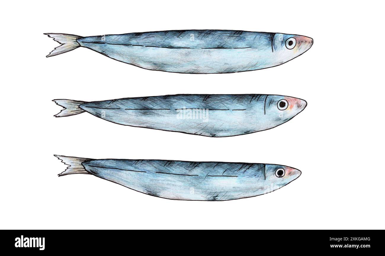 Dibujo lateral dibujo lateral hi-res stock photography and images - Alamy