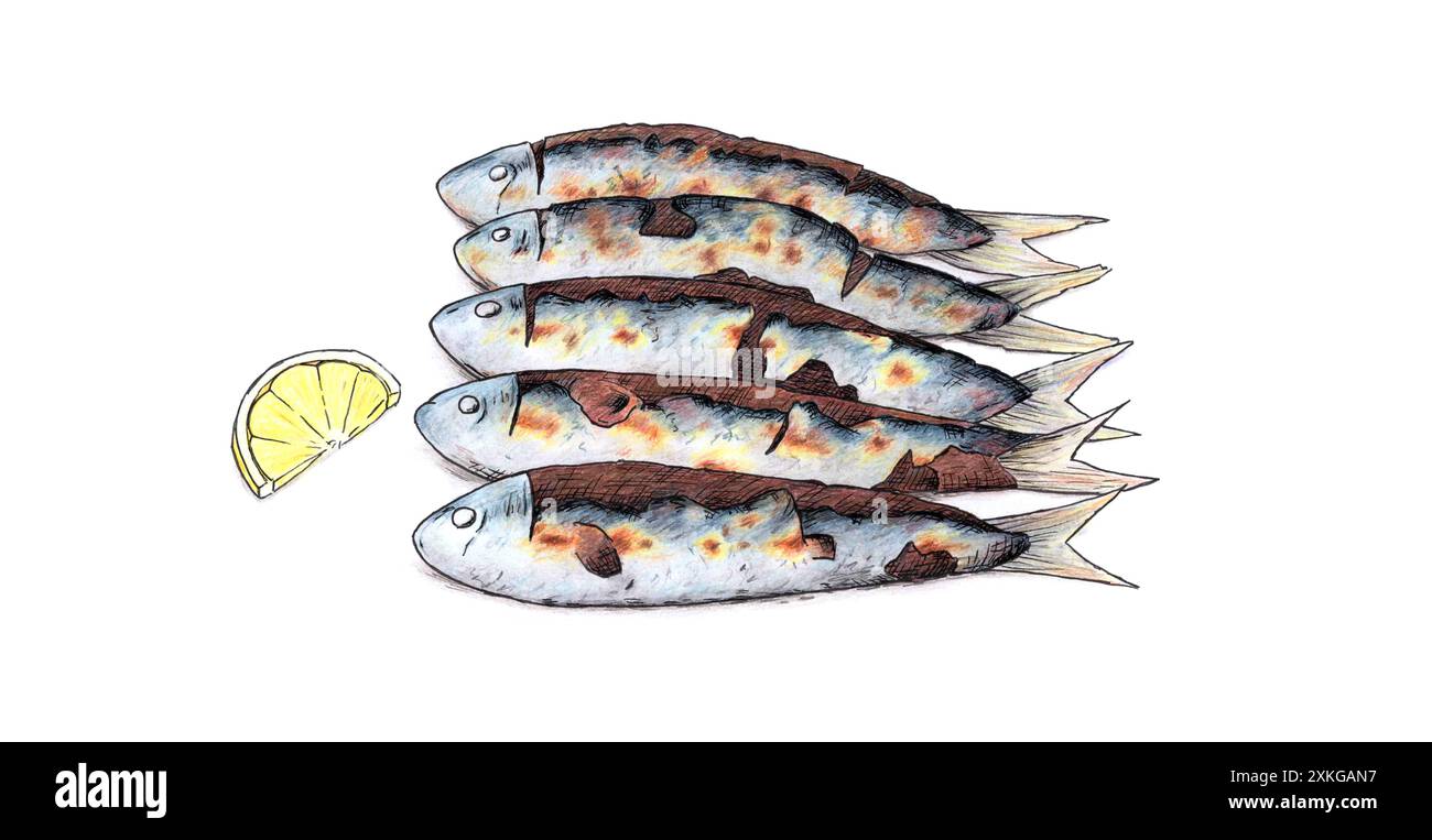 Dibujo de la mano hi-res stock photography and images - Alamy