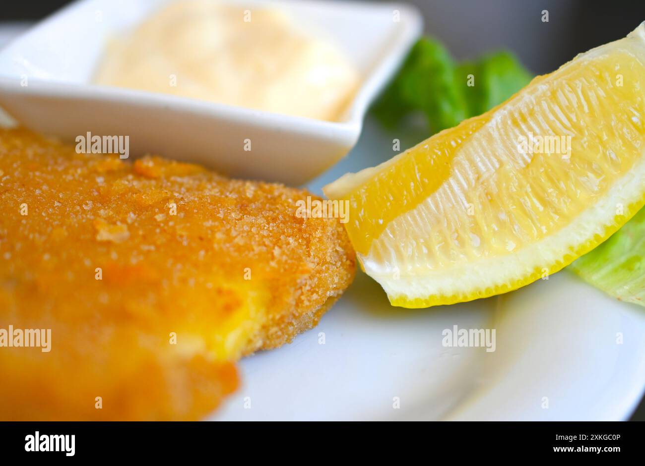 fried breaded cheese close up , served on a plate Stock Photo - Alamy