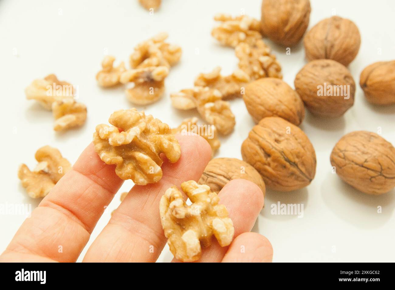 Walnut shell in hand hi-res stock photography and images - Alamy