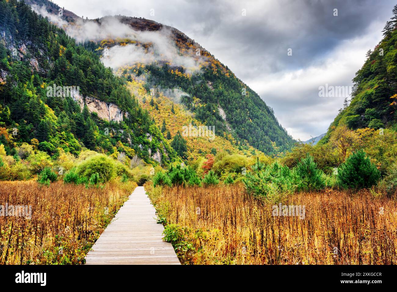 Wooden boardwalk leading to mountains, Jiuzhaigou National Park Stock ...