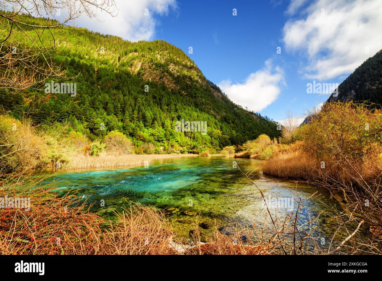 River with azure crystal clear water among wooded mountains Stock Photo ...