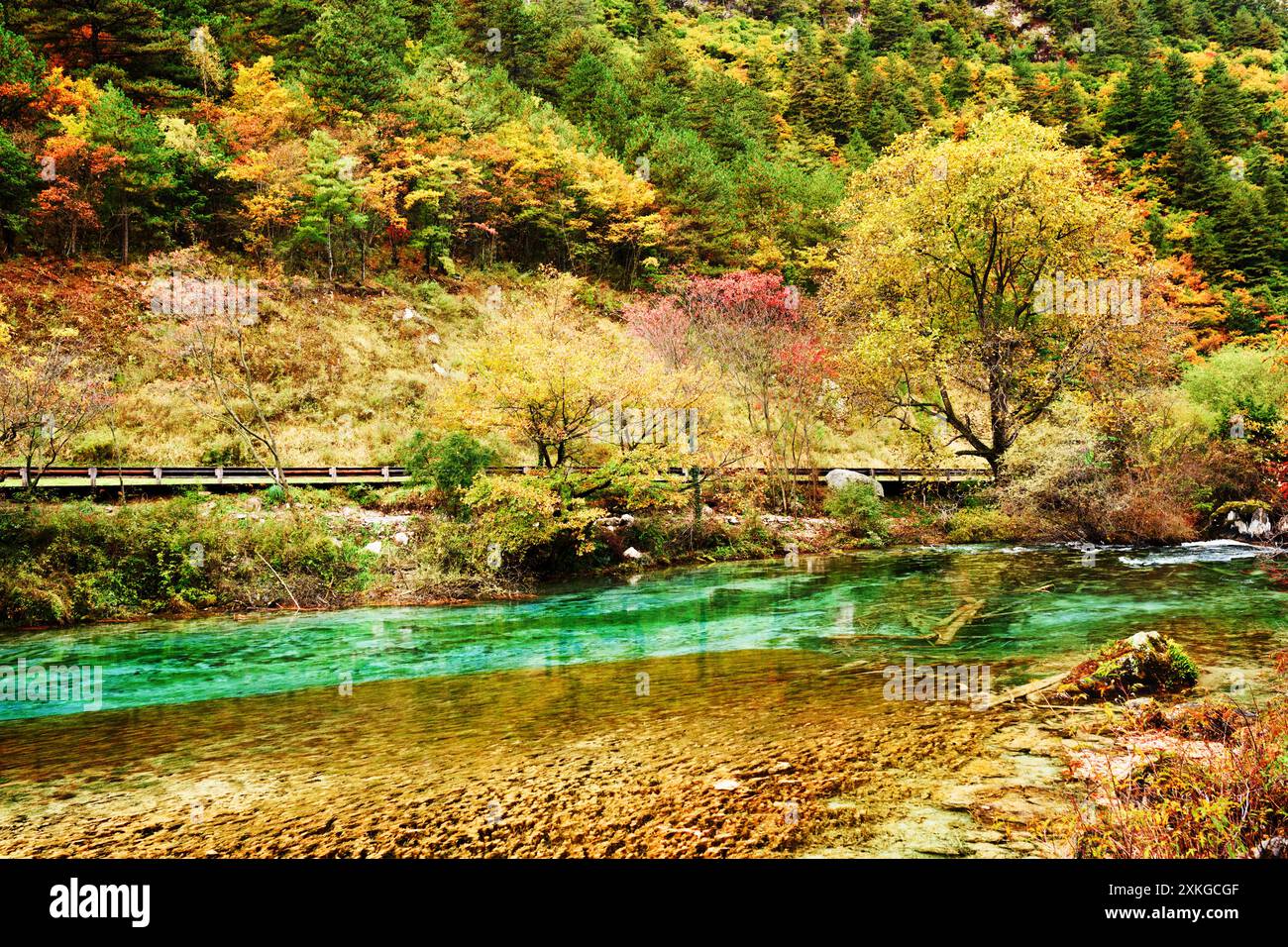 Beautiful landscape with autumn forest and azure water Stock Photo - Alamy