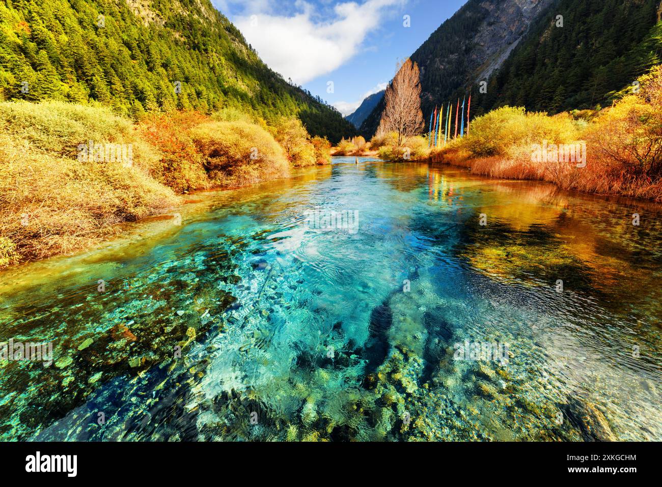 Crystal clear azure water hi-res stock photography and images - Alamy