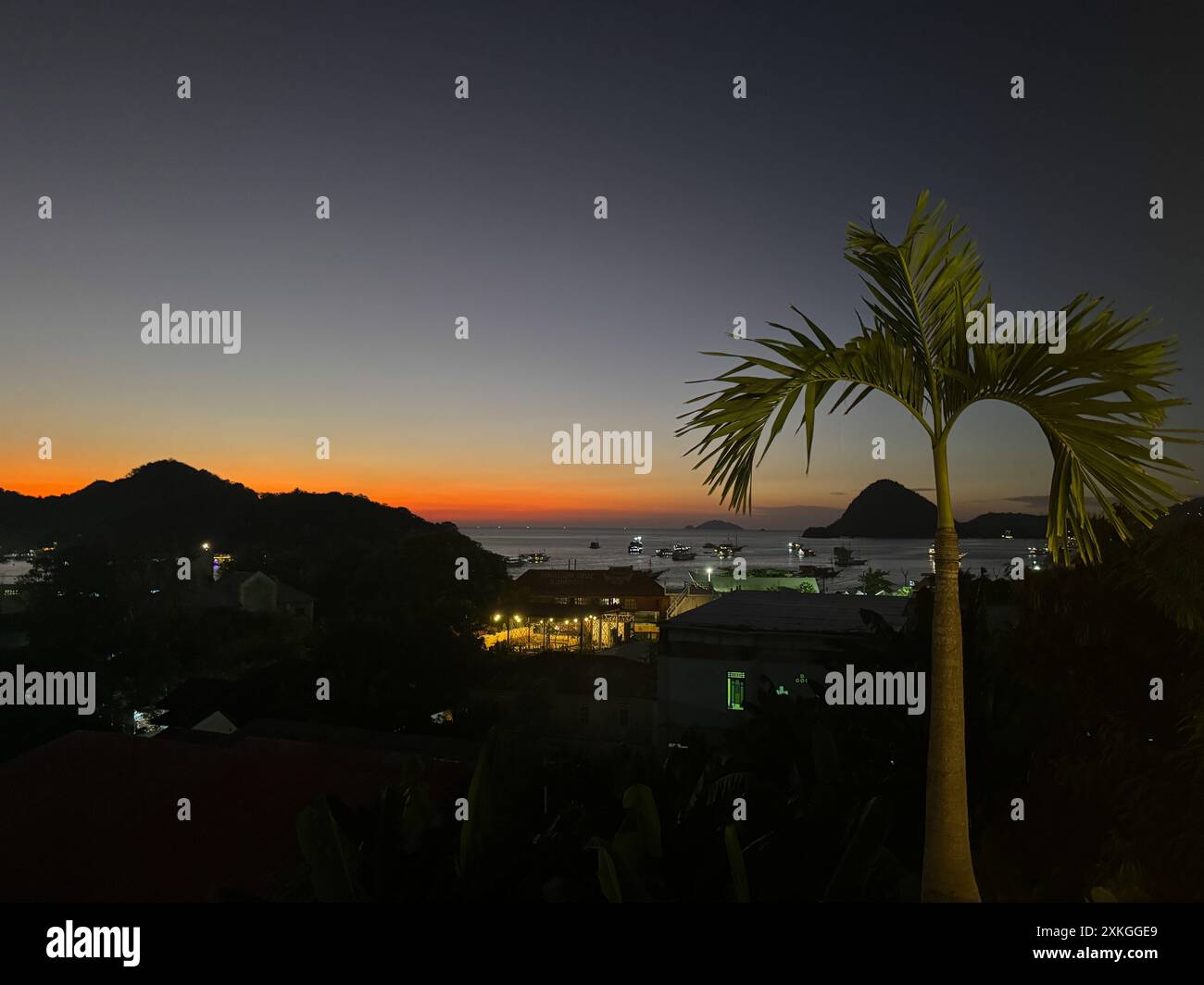 Sunset Over Labuan Bajo Harbor with Palm Tree Silhouette, Flores ...