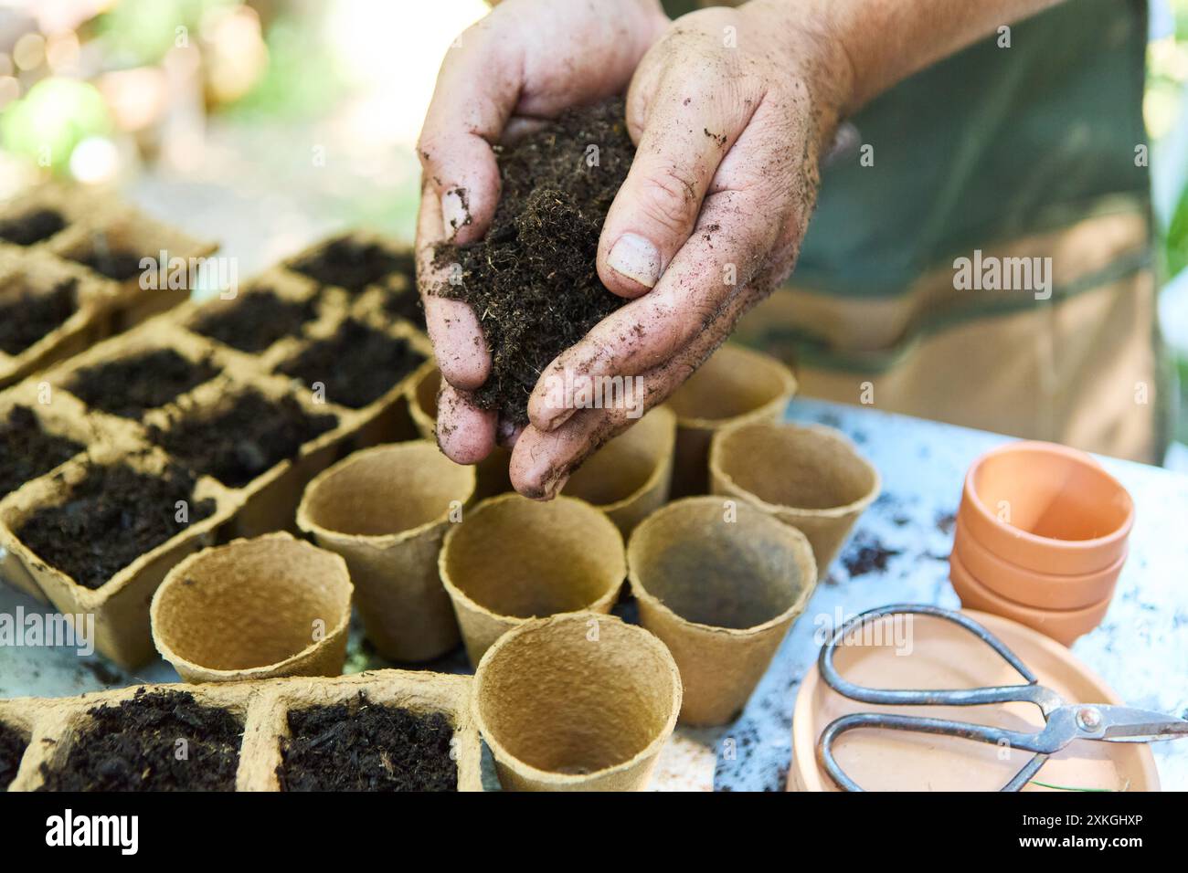 Empty pots planting seeds hi-res stock photography and images - Alamy