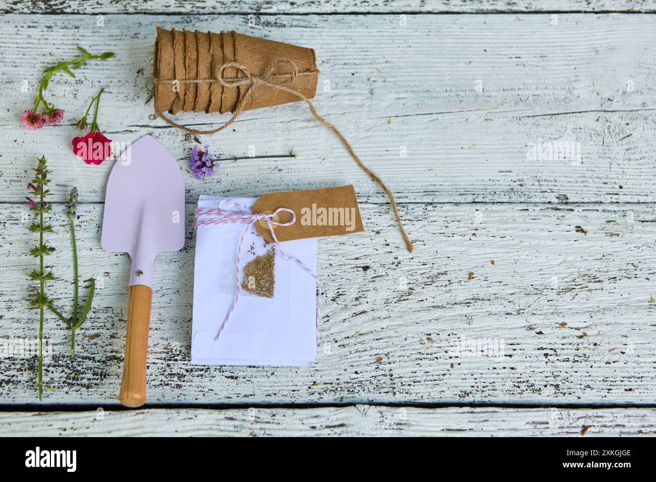 Gardening tools and seeds on a rustic wooden background, prepared for ...
