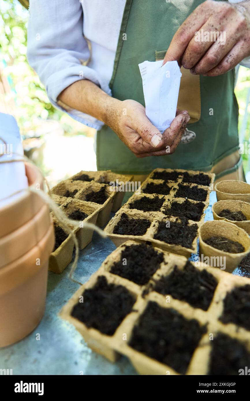 Planting seeds project hi-res stock photography and images - Alamy