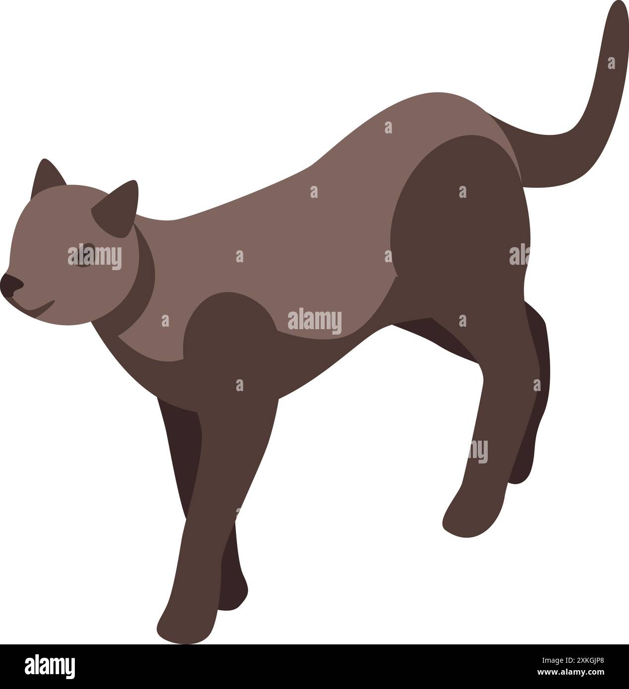 Isometric furry cat hi-res stock photography and images - Alamy