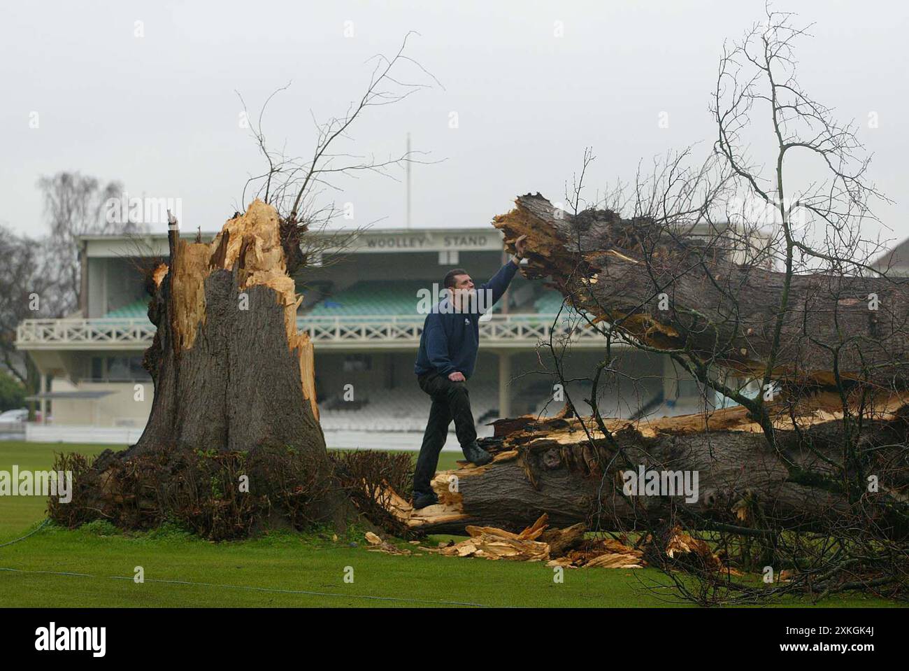 Tree inside boundry hi-res stock photography and images - Alamy