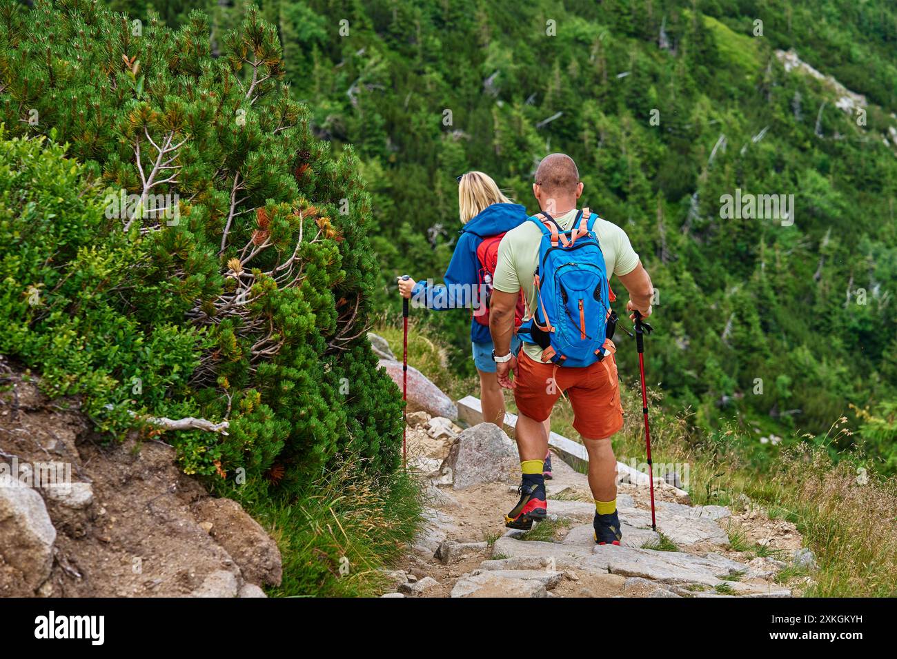 Back view of two hikers with backpacks and trekking poles descending ...