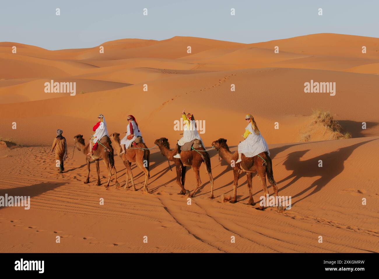 a group of ladies from Mexico they enjoying their camel ride in ...