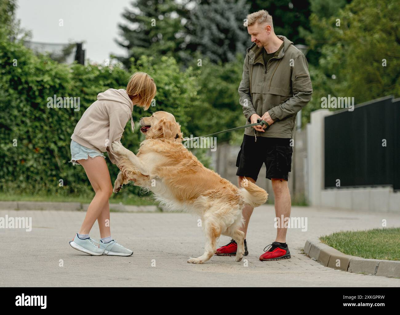 Dad And Daughter Play With Their Golden Retriever Dog During A Walk ...