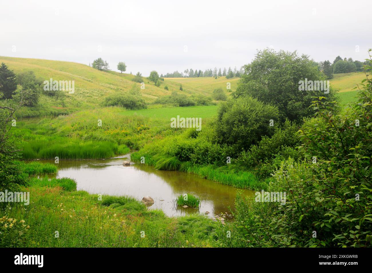 Freshwater river rushing through grass hi-res stock photography and ...