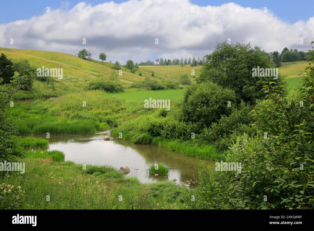 Freshwater river rushing through grass hi-res stock photography and ...