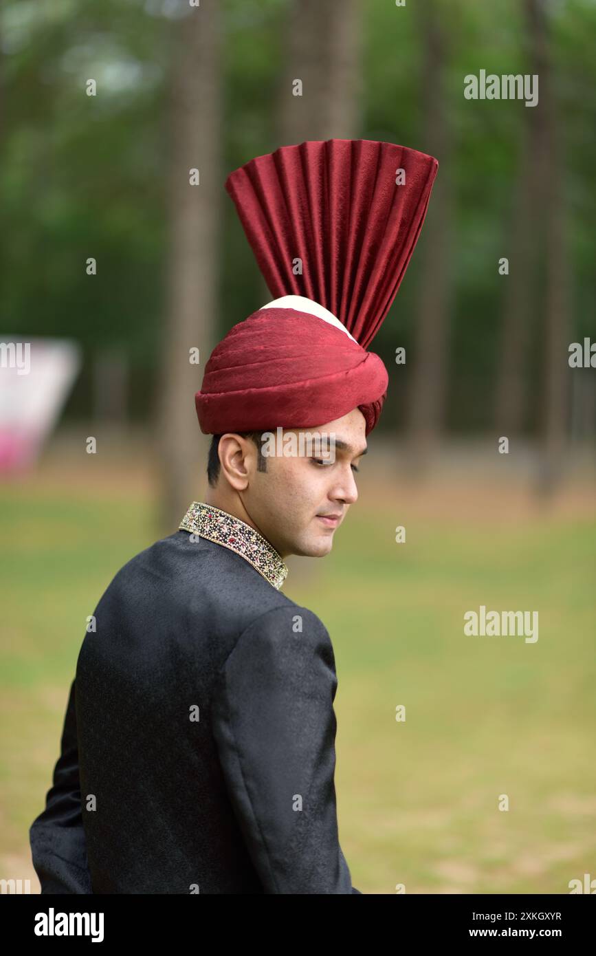 Wedding Day Baraat Stock Photo - Alamy