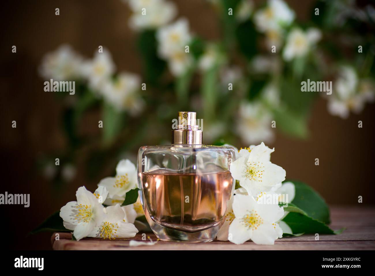 Fragrant jasmine hi-res stock photography and images - Alamy