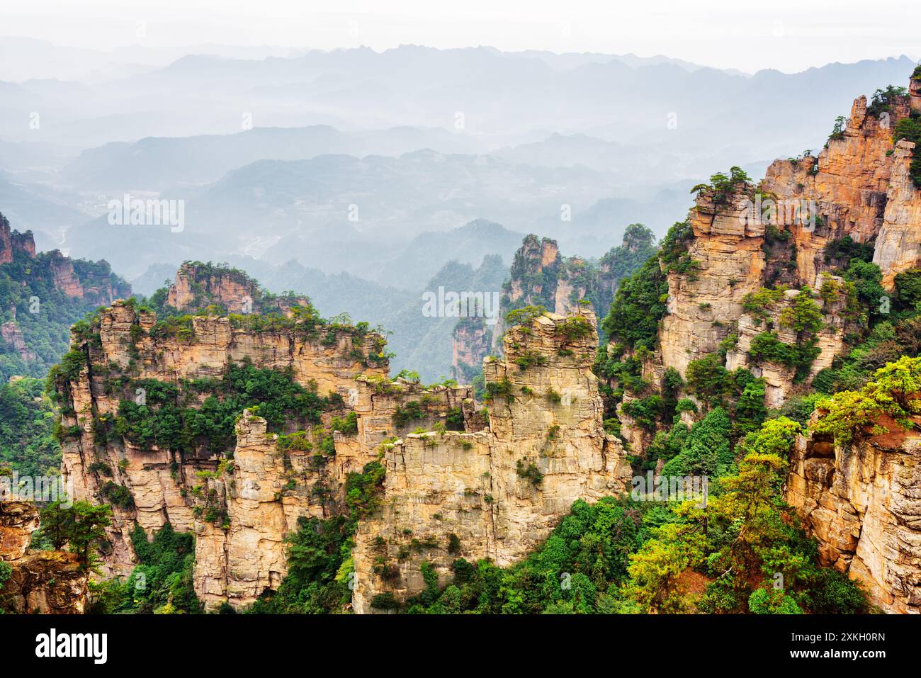 Beautiful narrow and towering wall of rock (Avatar Mountains Stock ...