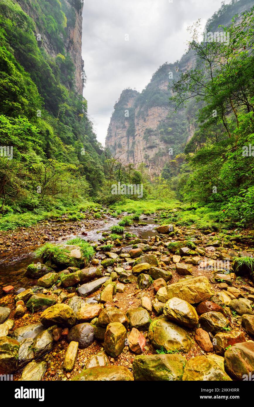 Mountain creek on bottom of gorge among steep cliffs and woods Stock ...