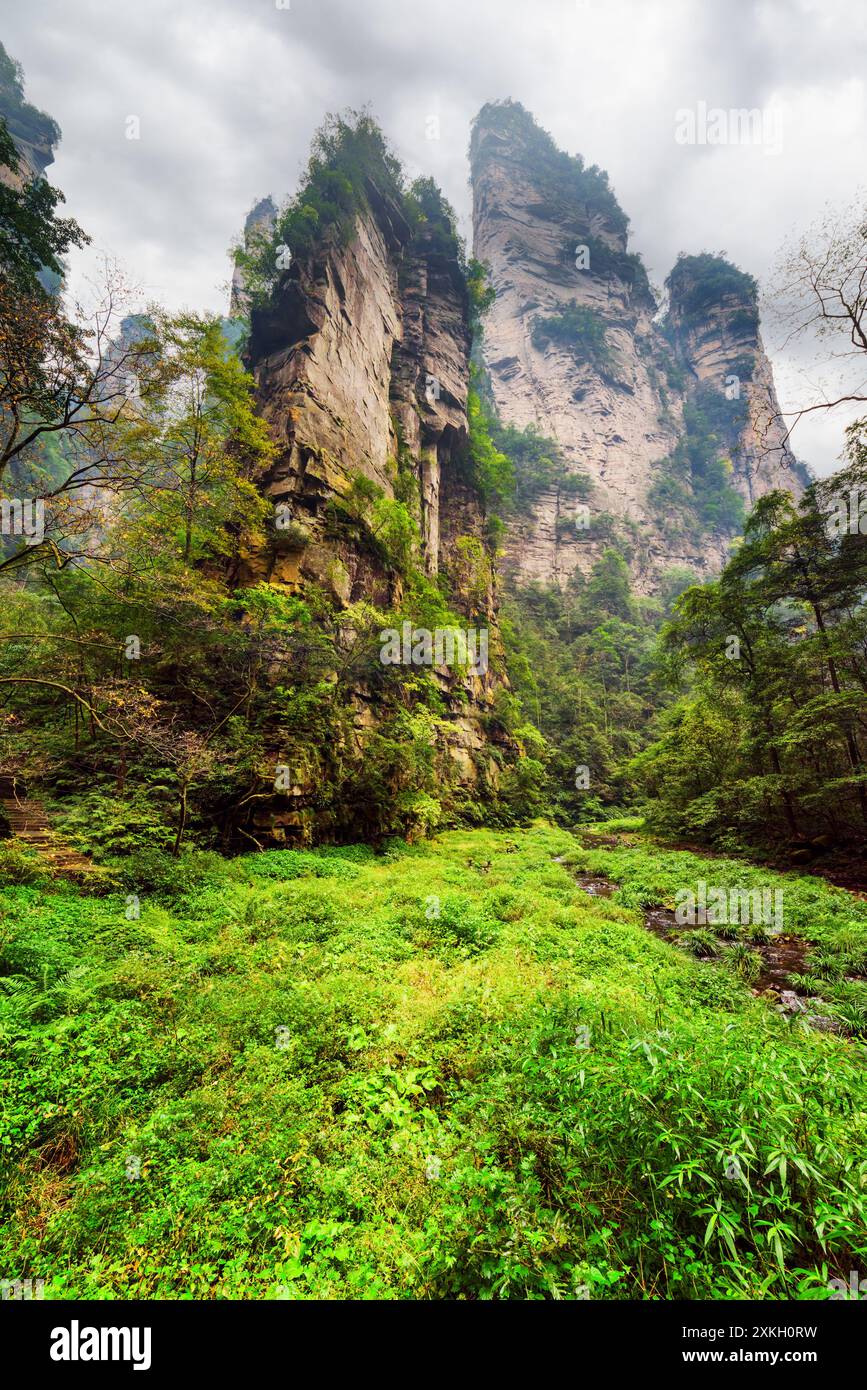 Bottom view of fantastic rocks among green woods and creeks Stock Photo ...