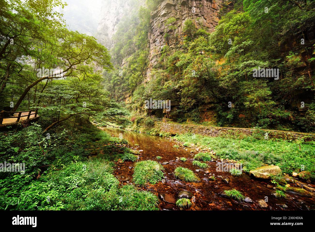 Scenic river with crystal clear water at bottom of deep gorge Stock ...