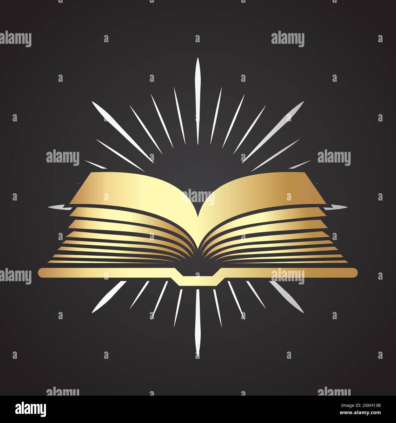 Silver book cover hi-res stock photography and images - Alamy
