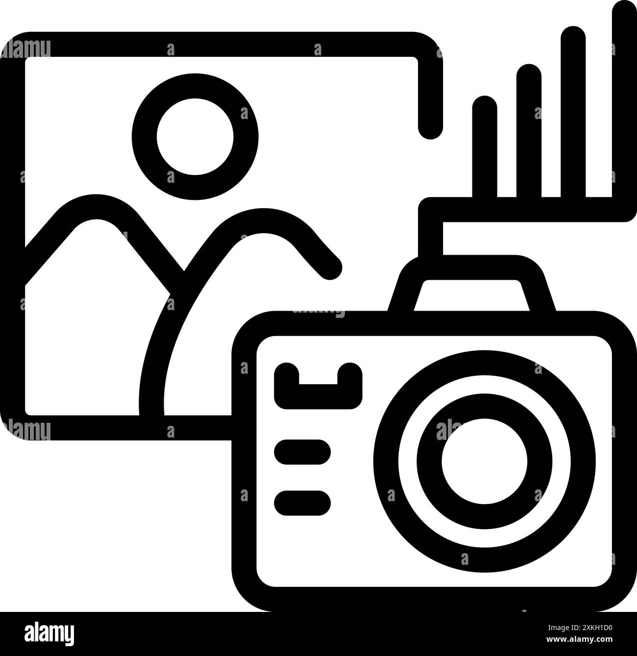 Digital camera is taking a picture and generating a data chart ...