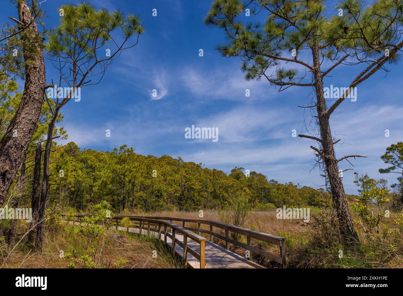 Ocracoke Island, Outer Banks, North Carolina, USA - April 16, 2024 ...