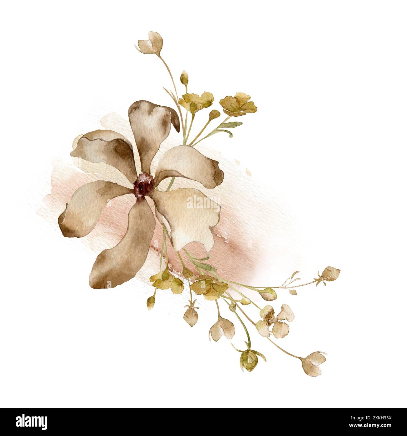 Beige flower on watercolor splash isolated on white. Monochrome ...