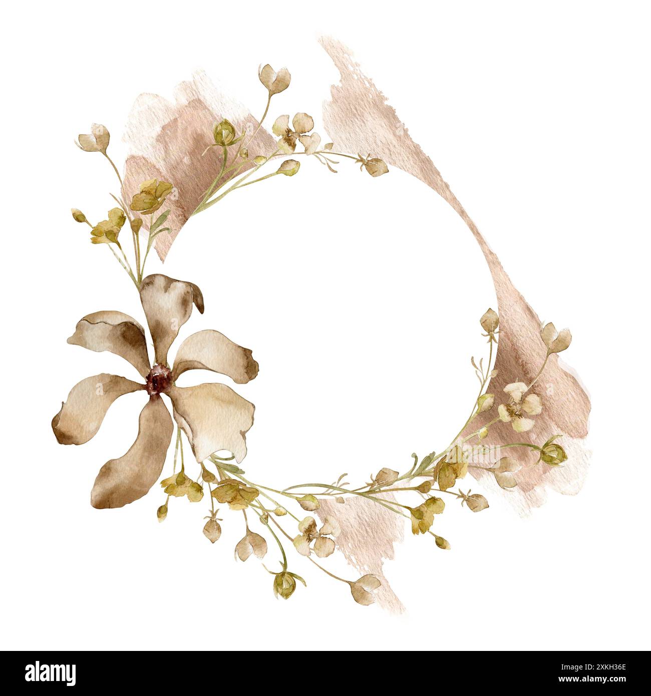 Beige flowers on watercolor splash isolated on white. Monochrome floral ...