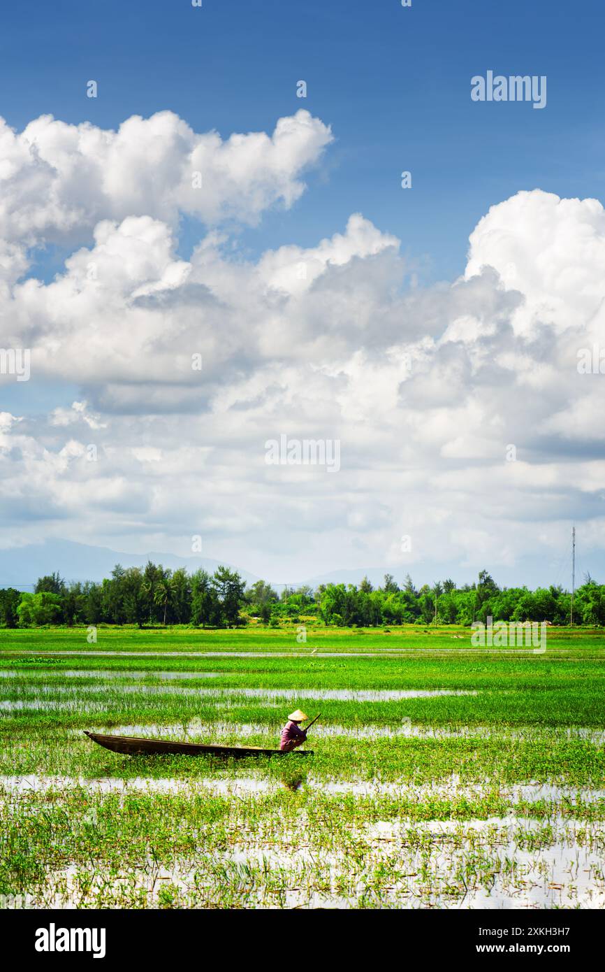 Rower in Vietnamese conical hat among green rice fields Stock Photo - Alamy