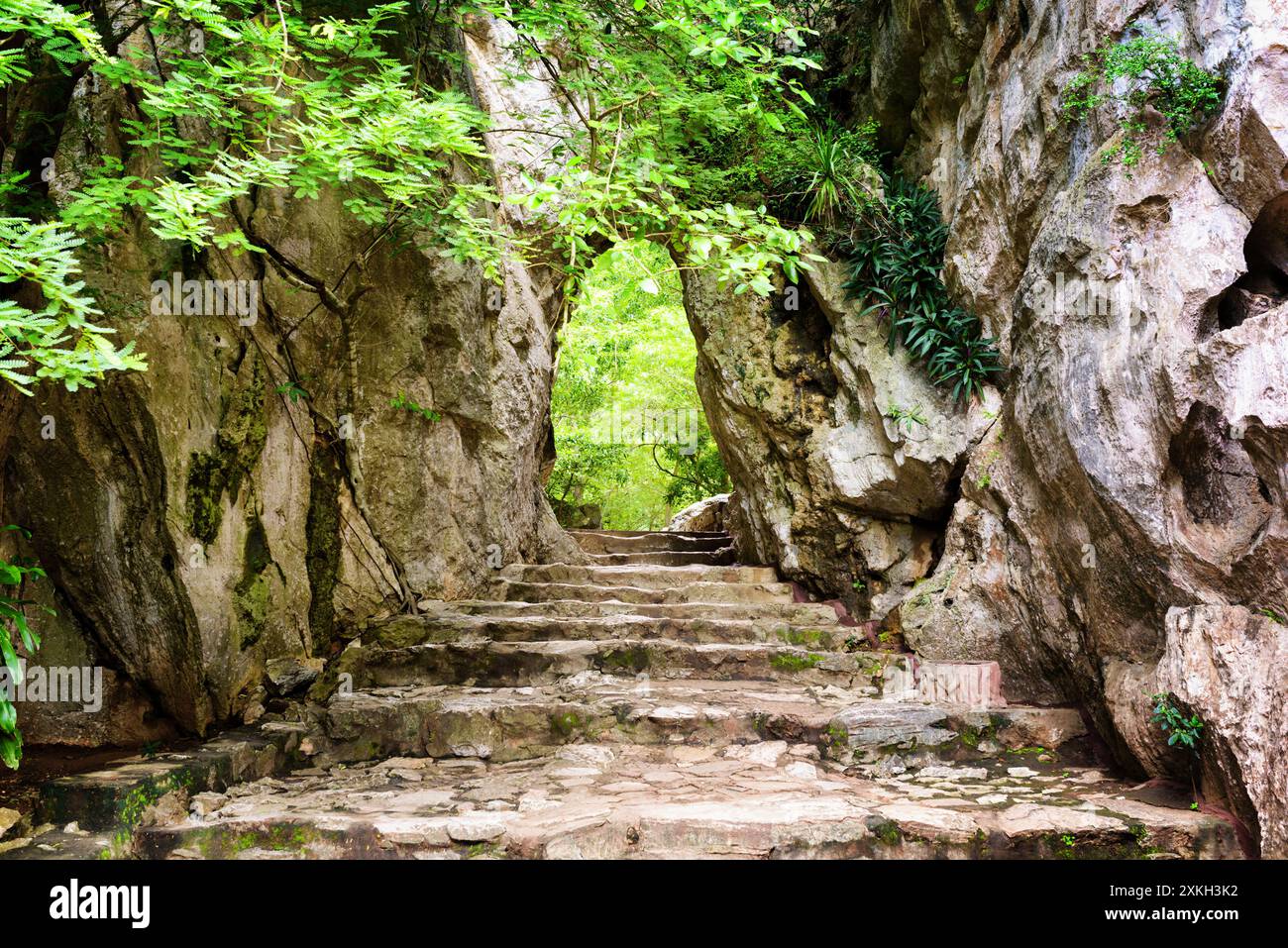 Scenic stone stairs leading up to gate in rocks Stock Photo - Alamy