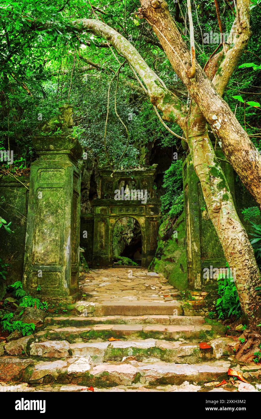 Enigmatic view of amazing old mossy stone gate and brick stairs Stock ...