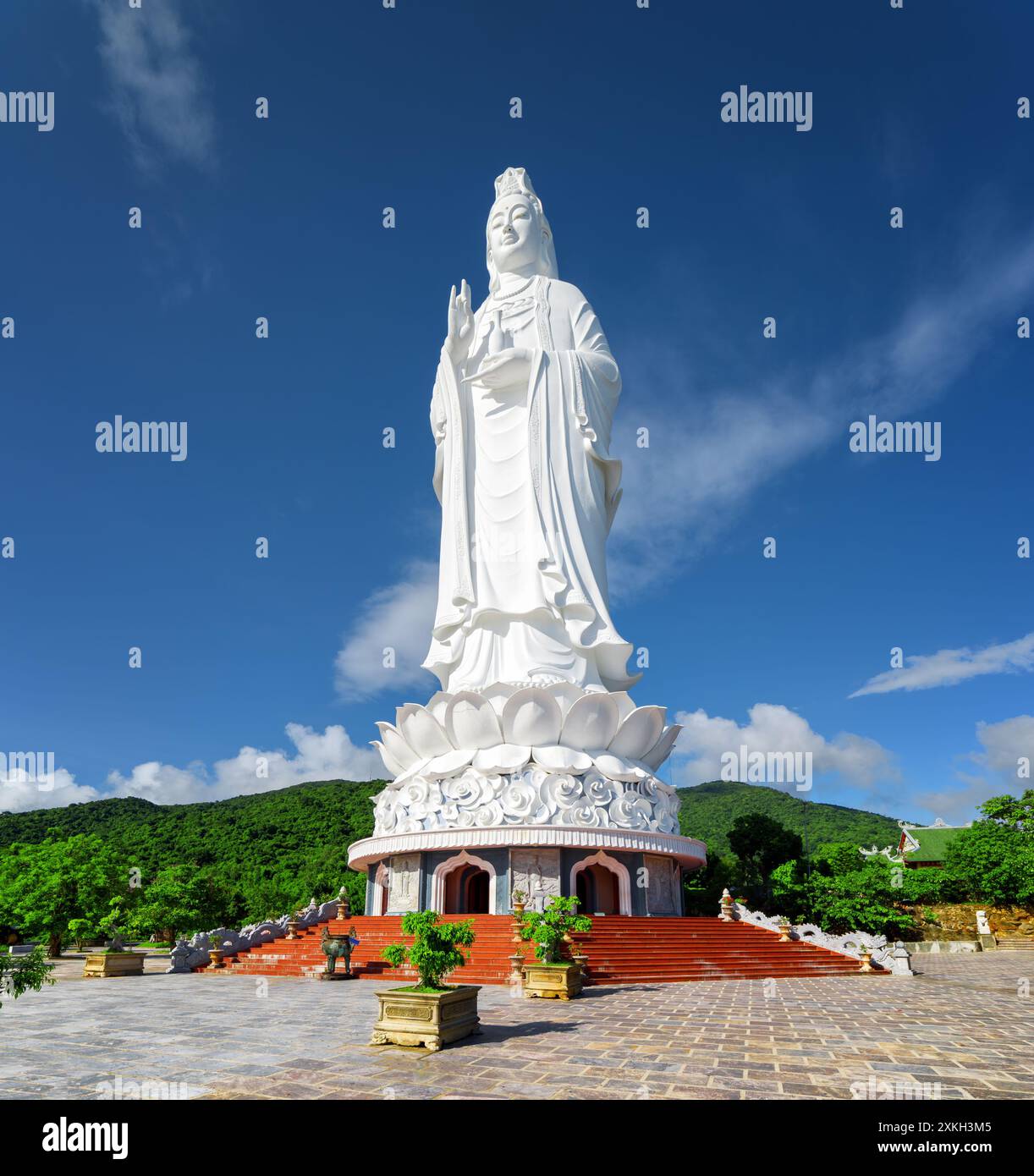Ladybuddha hi-res stock photography and images - Alamy
