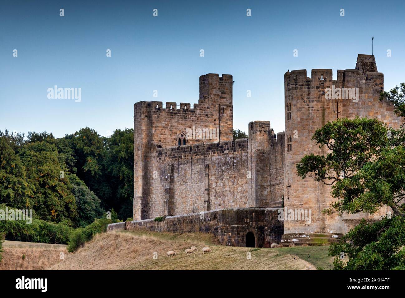 Alnwick Castle is a castle and country house in Alnwick in the English ...