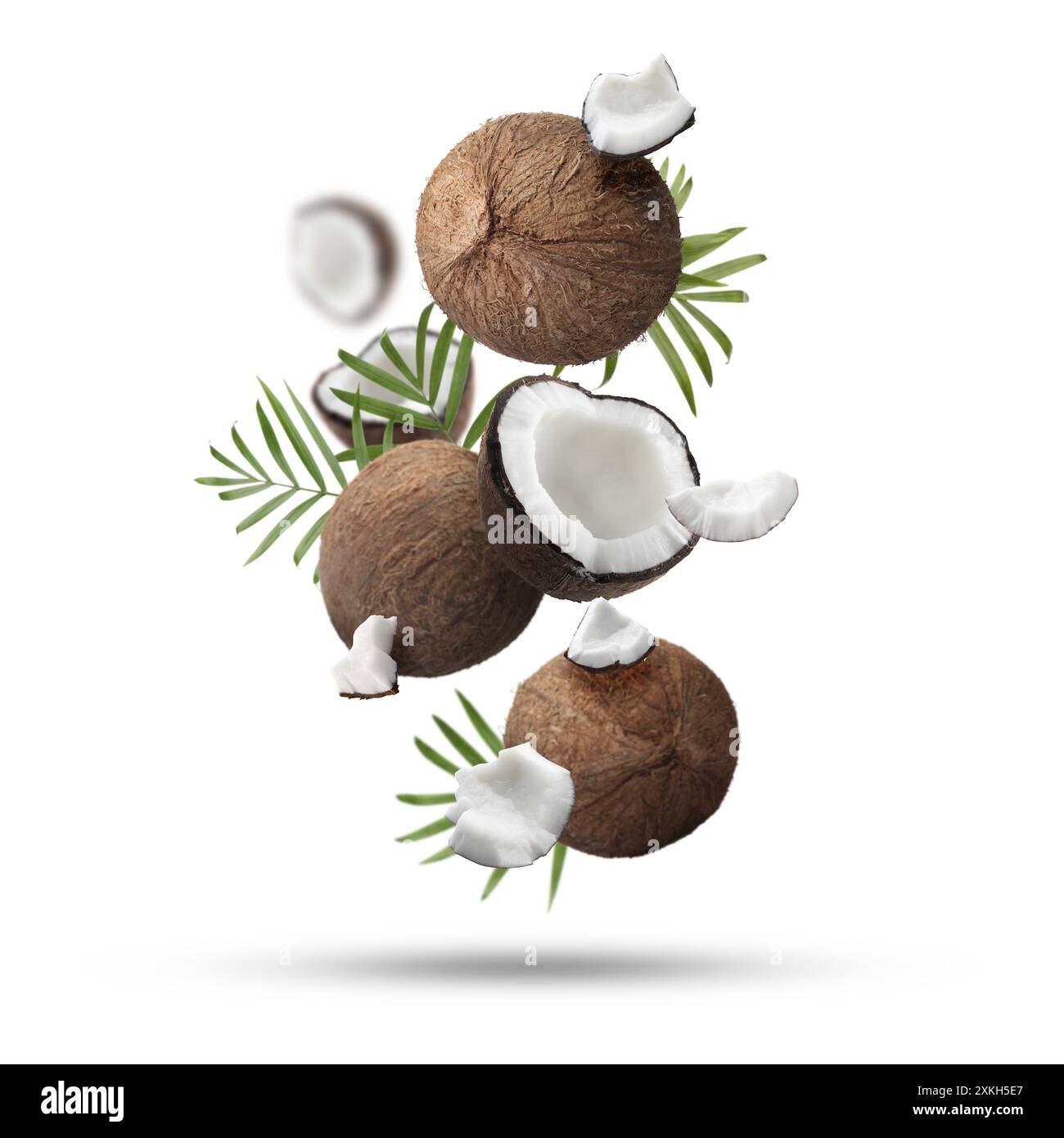 Coconuts and green leaves falling on white background Stock Photo - Alamy