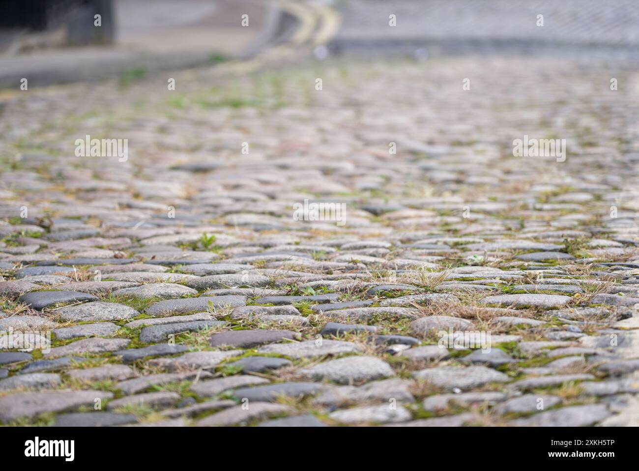 Stones with weeds hi-res stock photography and images - Alamy