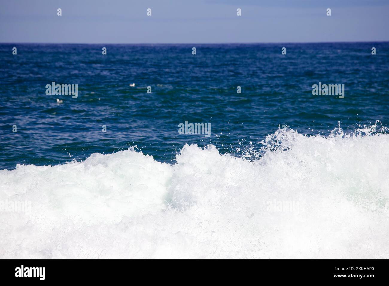 2024 cape cod hi-res stock photography and images - Alamy