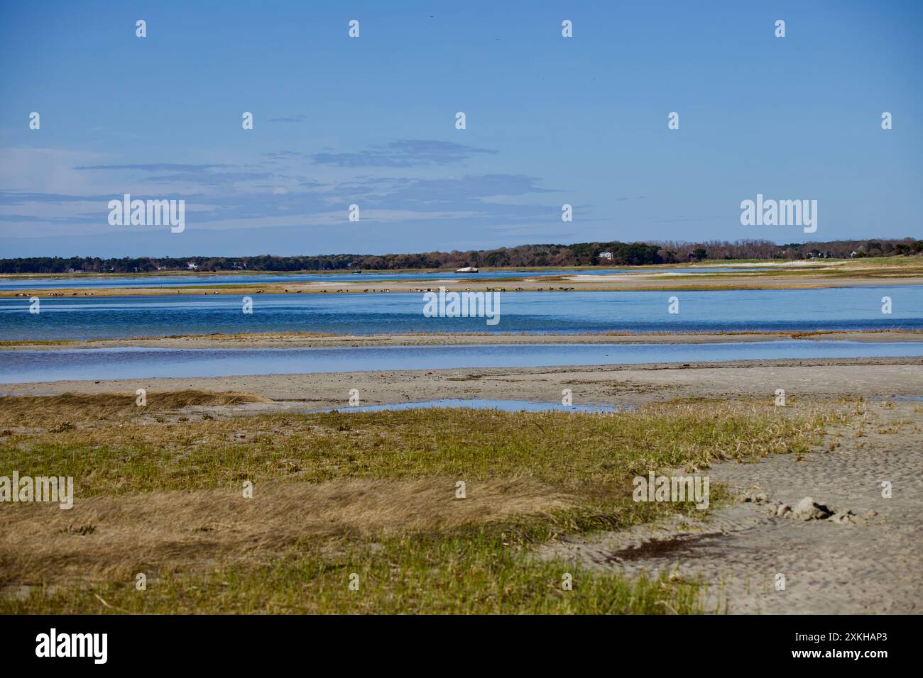 2024 cape cod hi-res stock photography and images - Alamy