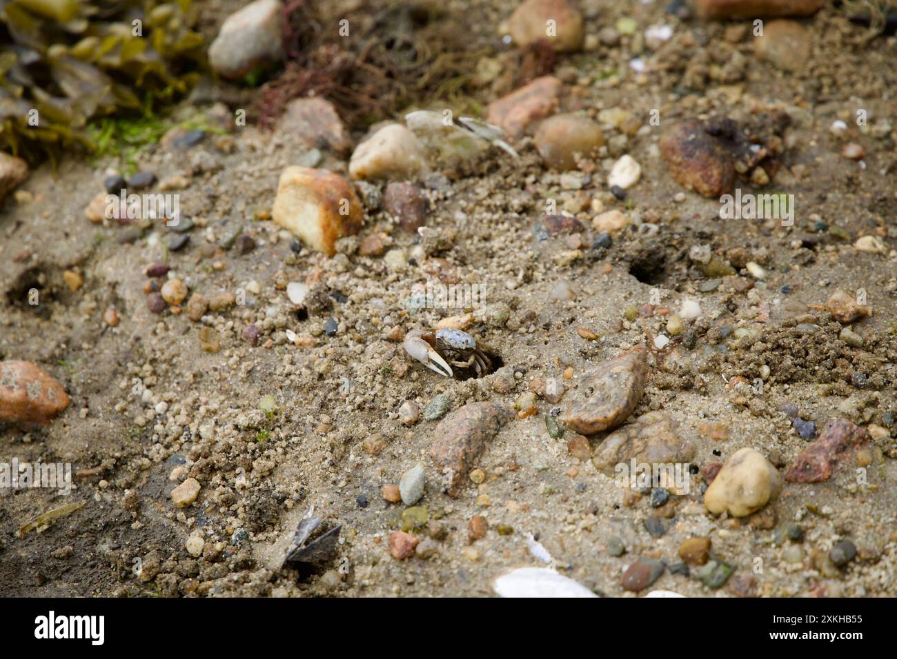 Cape Cod 2024 Stock Photo - Alamy