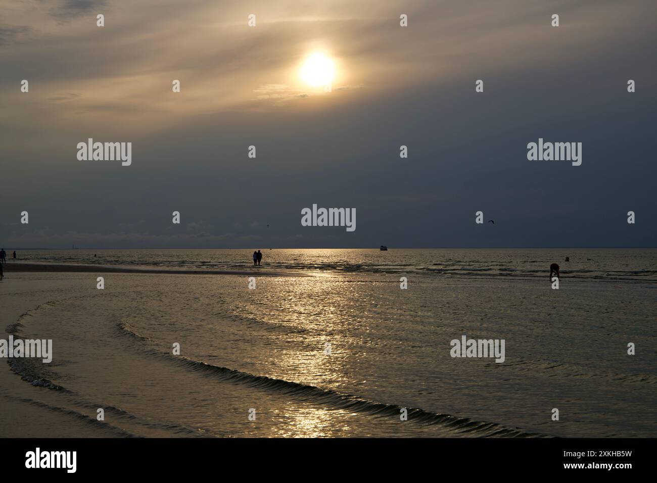 Cape Cod 2024 Stock Photo - Alamy