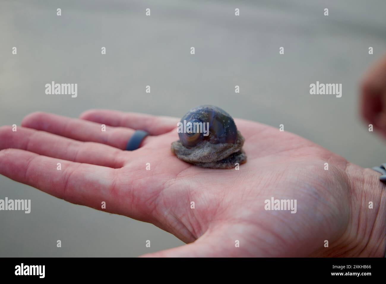 Cape Cod 2024 Stock Photo - Alamy