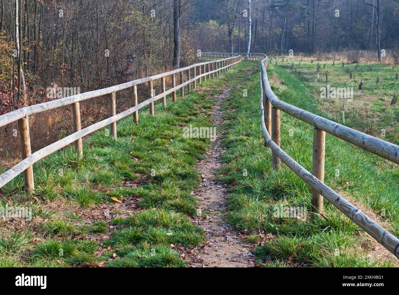Trail with wooden railings leading towards a forest Stock Photo - Alamy