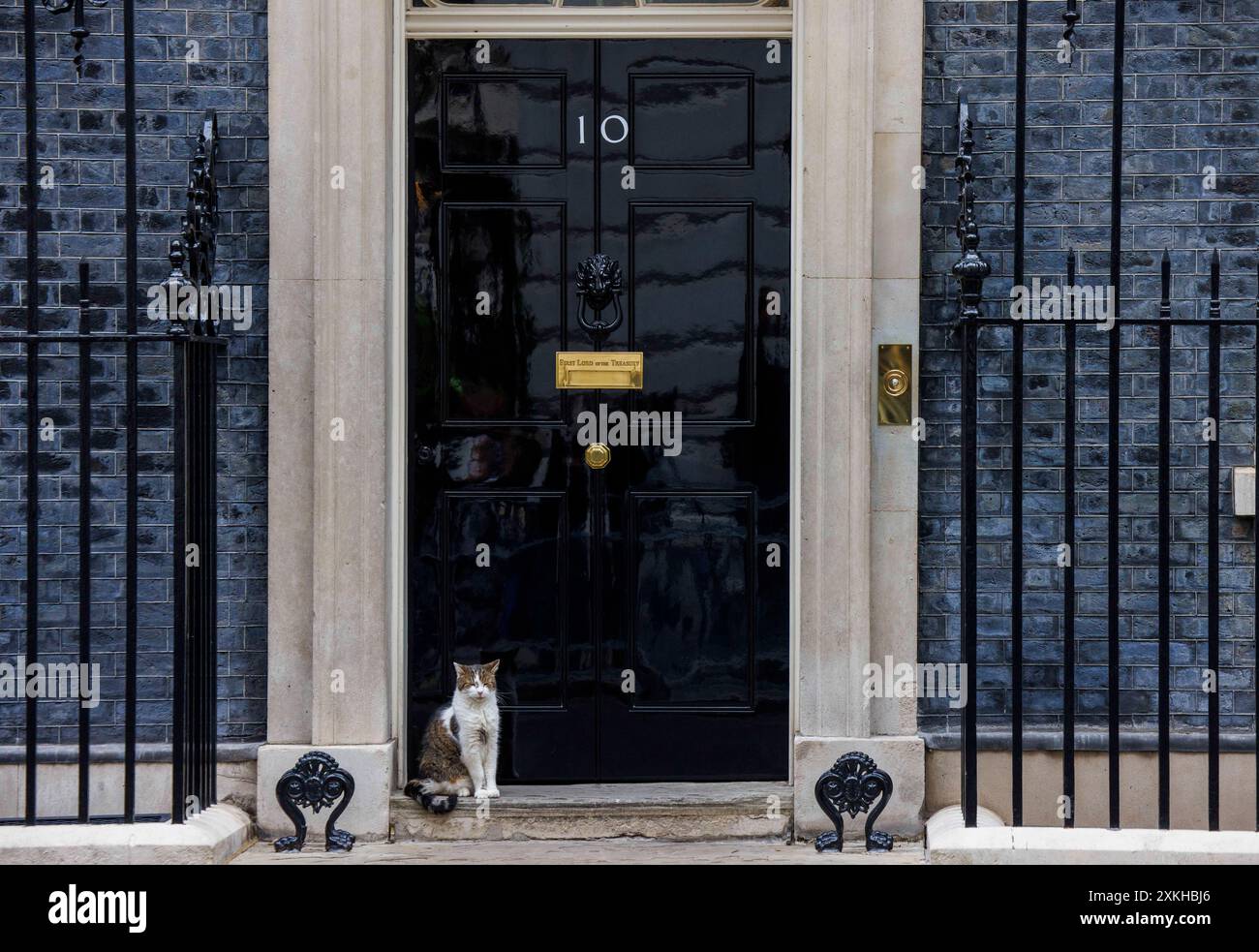London, UK. 23rd July, 2024. Larry The Cat in Downing Street Credit ...