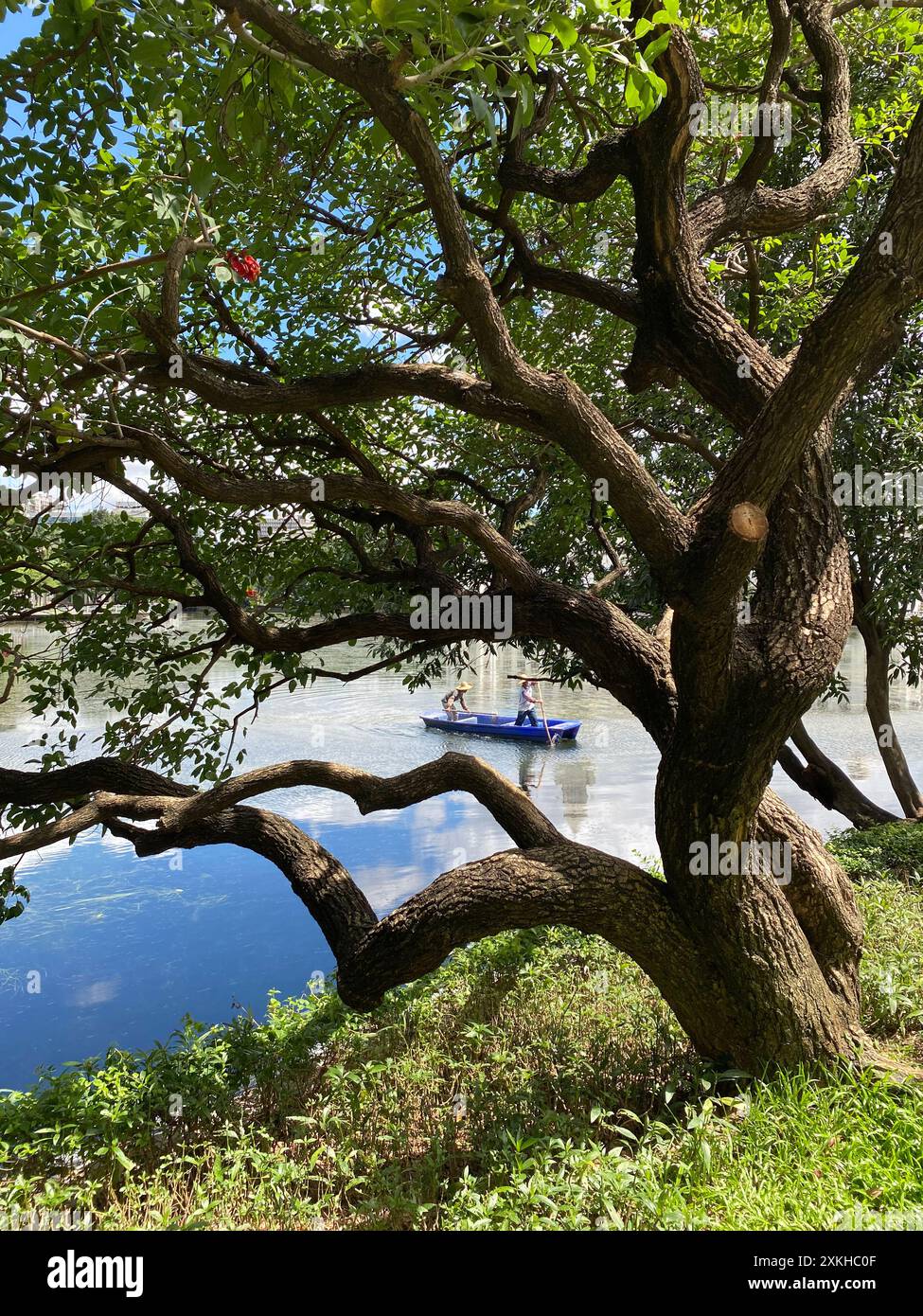 Guangzhou forest hi-res stock photography and images - Alamy
