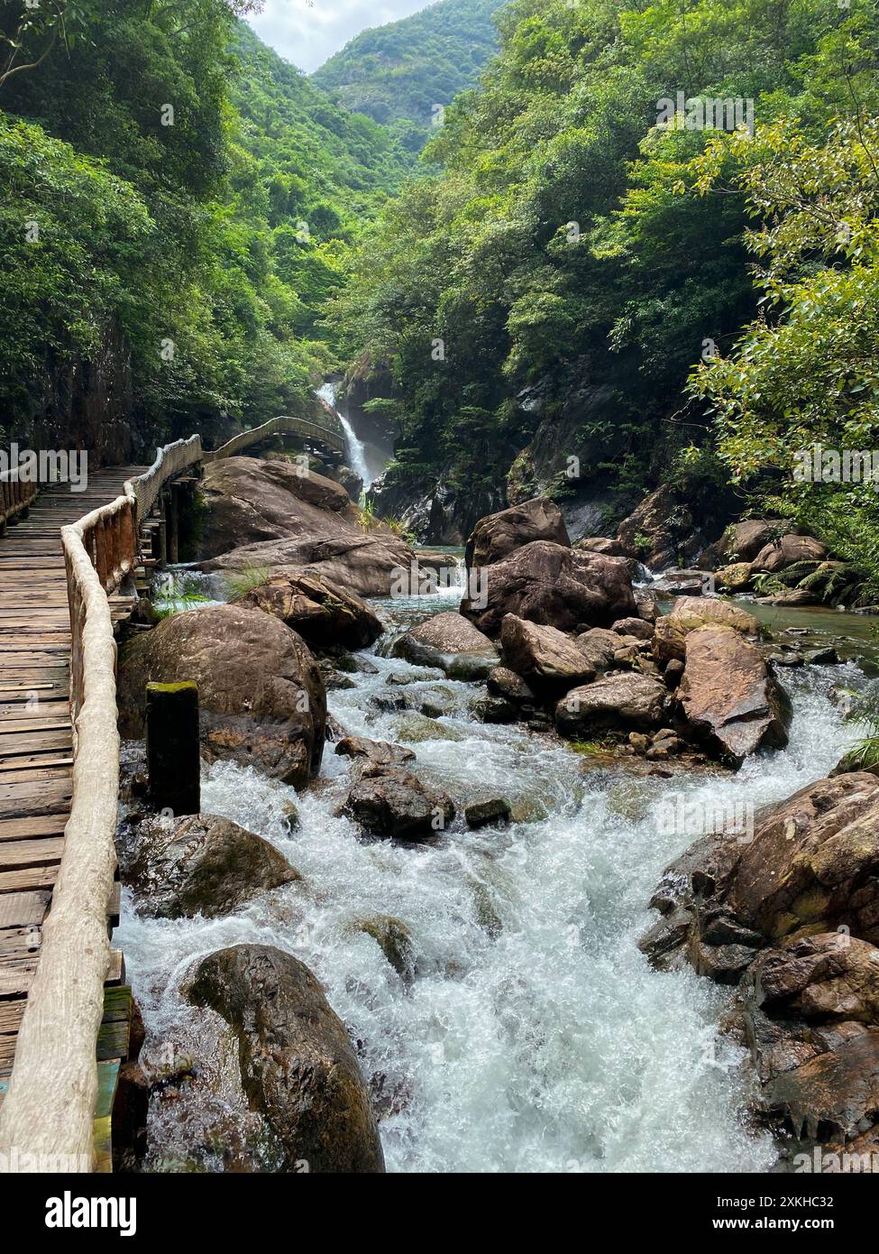 Guangzhou forest hi-res stock photography and images - Alamy