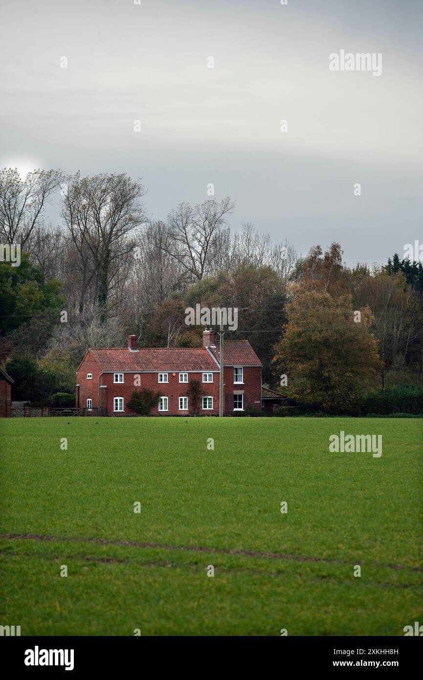 rural country cottage ellingham norfolk england Stock Photo - Alamy
